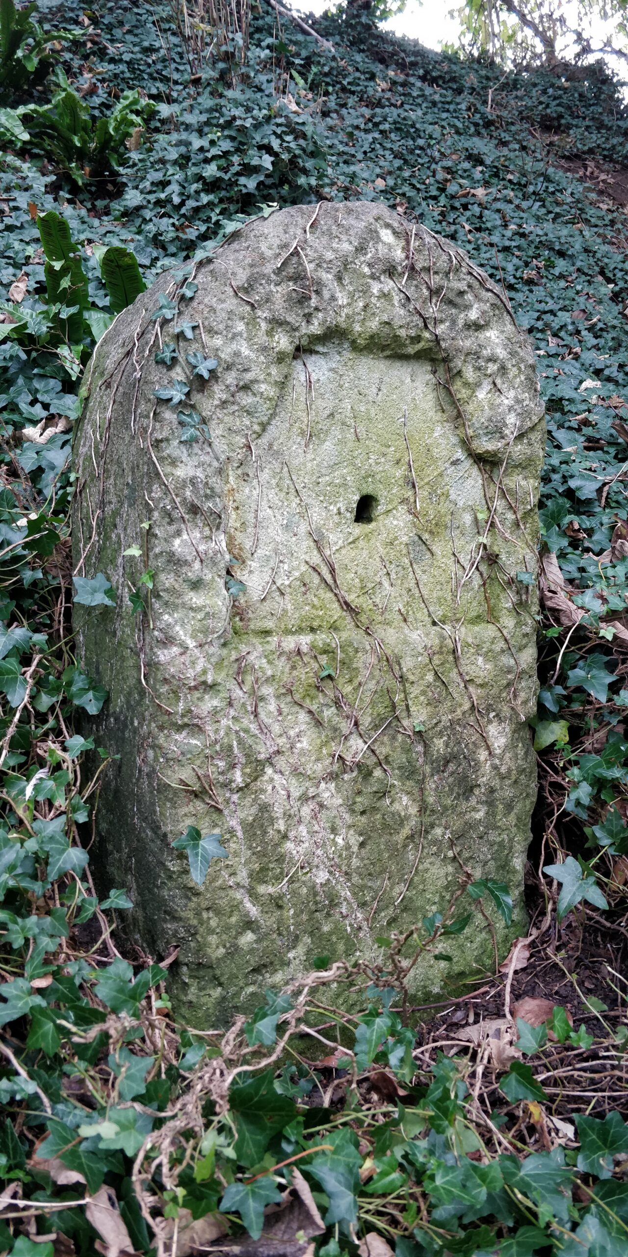 Dunkerton walk – Somersetshire Coal Canal Society